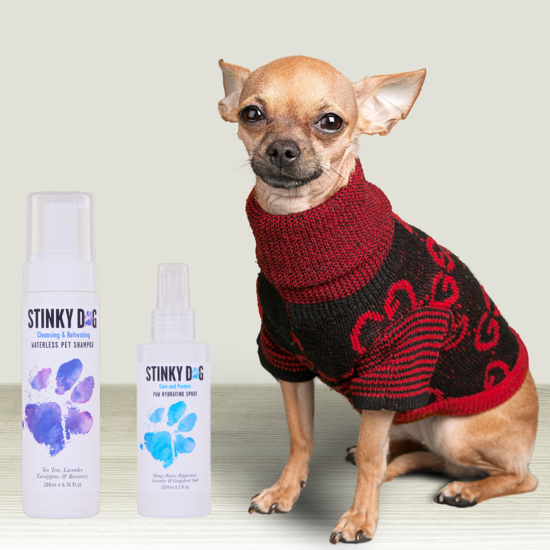 Winter Dog Grooming Guide: Keep Your Pup Looking Fabulous – Stinky Dog ...